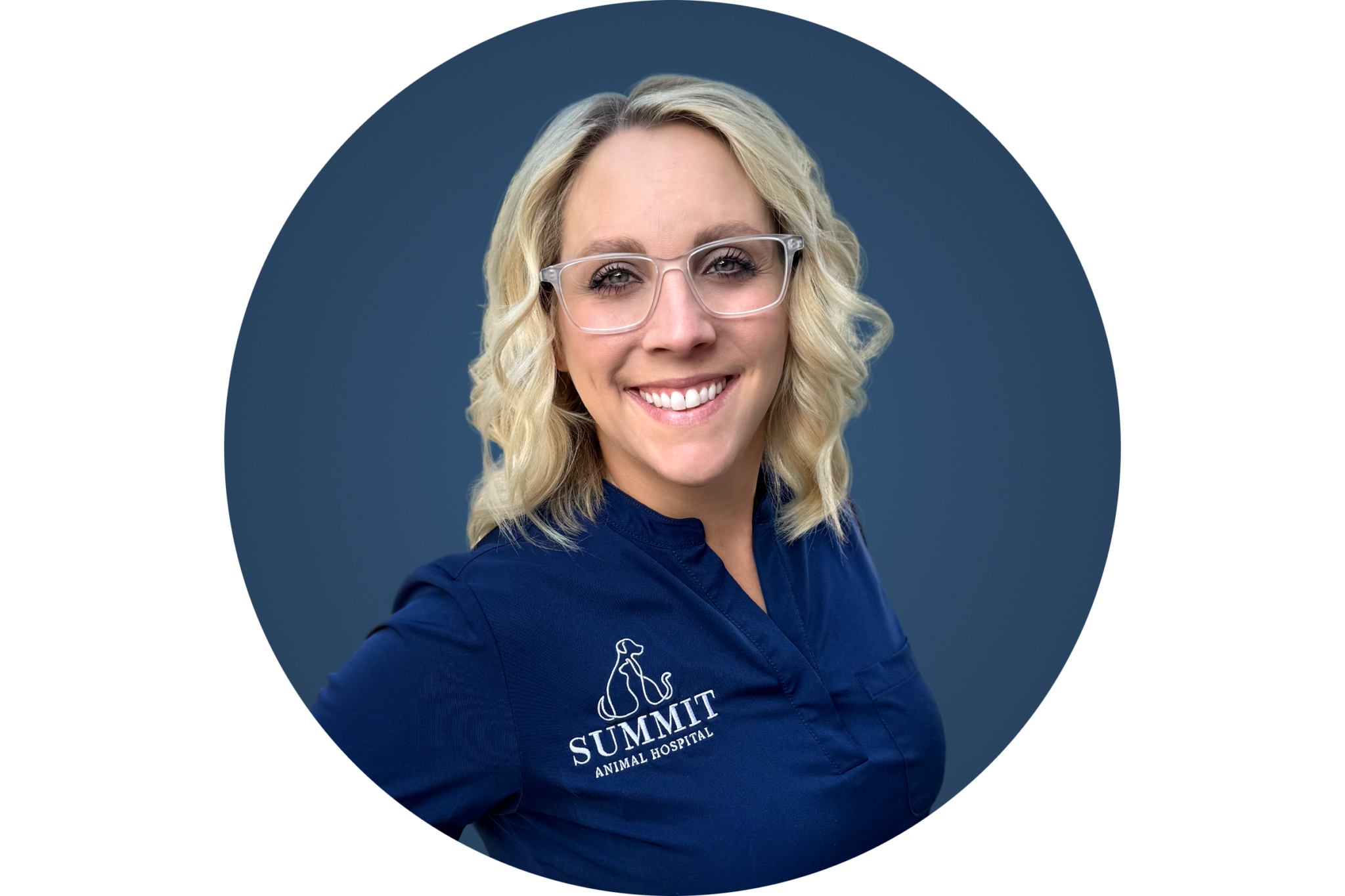 Home - Summit Veterinary Services